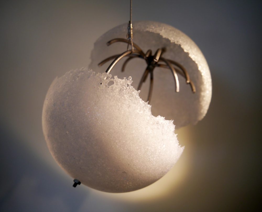 Membranes and More – GLASS BODIES