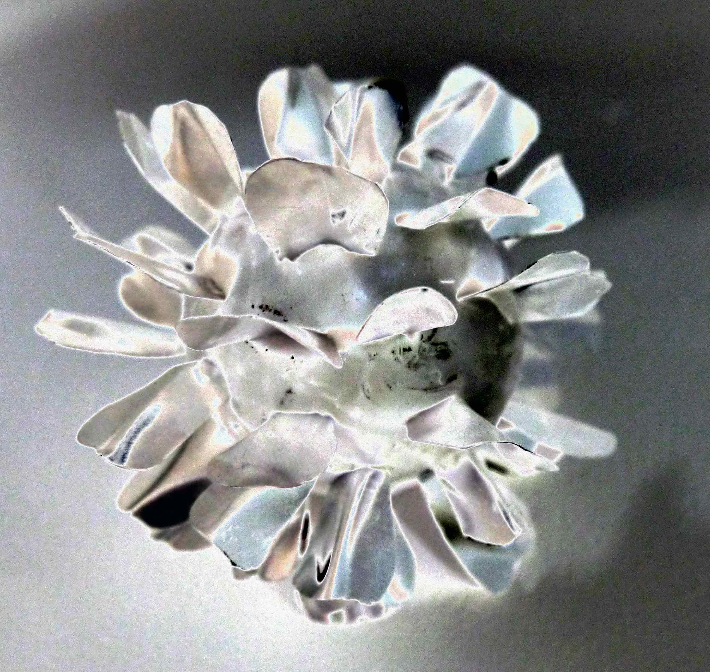 Welcome to Glass Bodies – GLASS BODIES